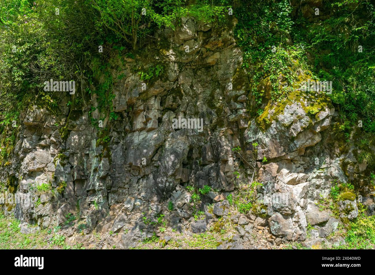 Stone cliff overgrown with moss and plants. Natural stone background ...