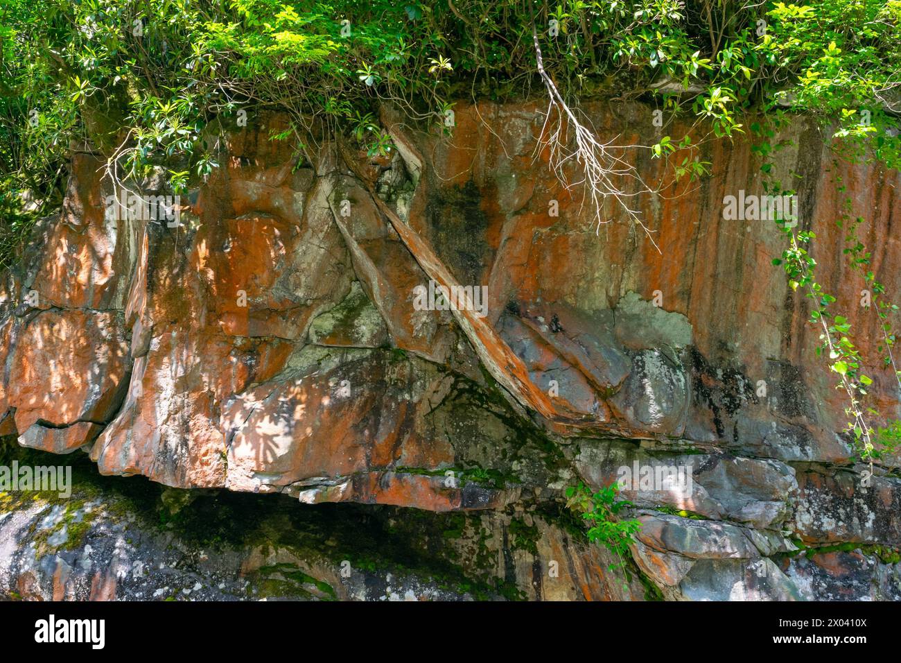 Stone cliff overgrown with moss and plants. Natural stone background ...