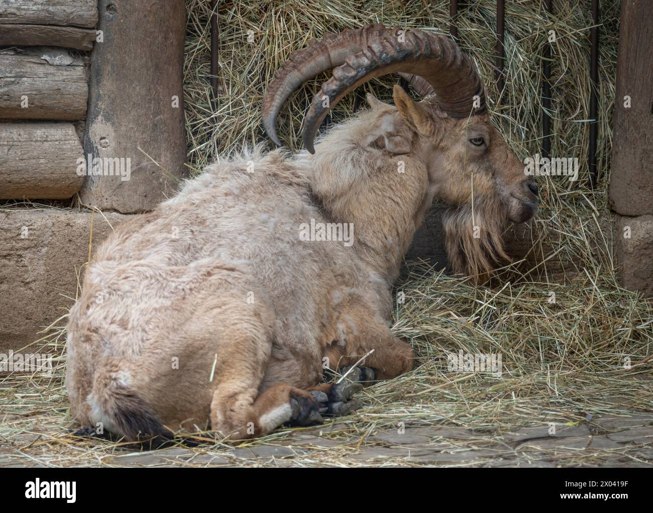 Paris, France - 04 06 2024: The menagerie, the zoo of the plant garden ...