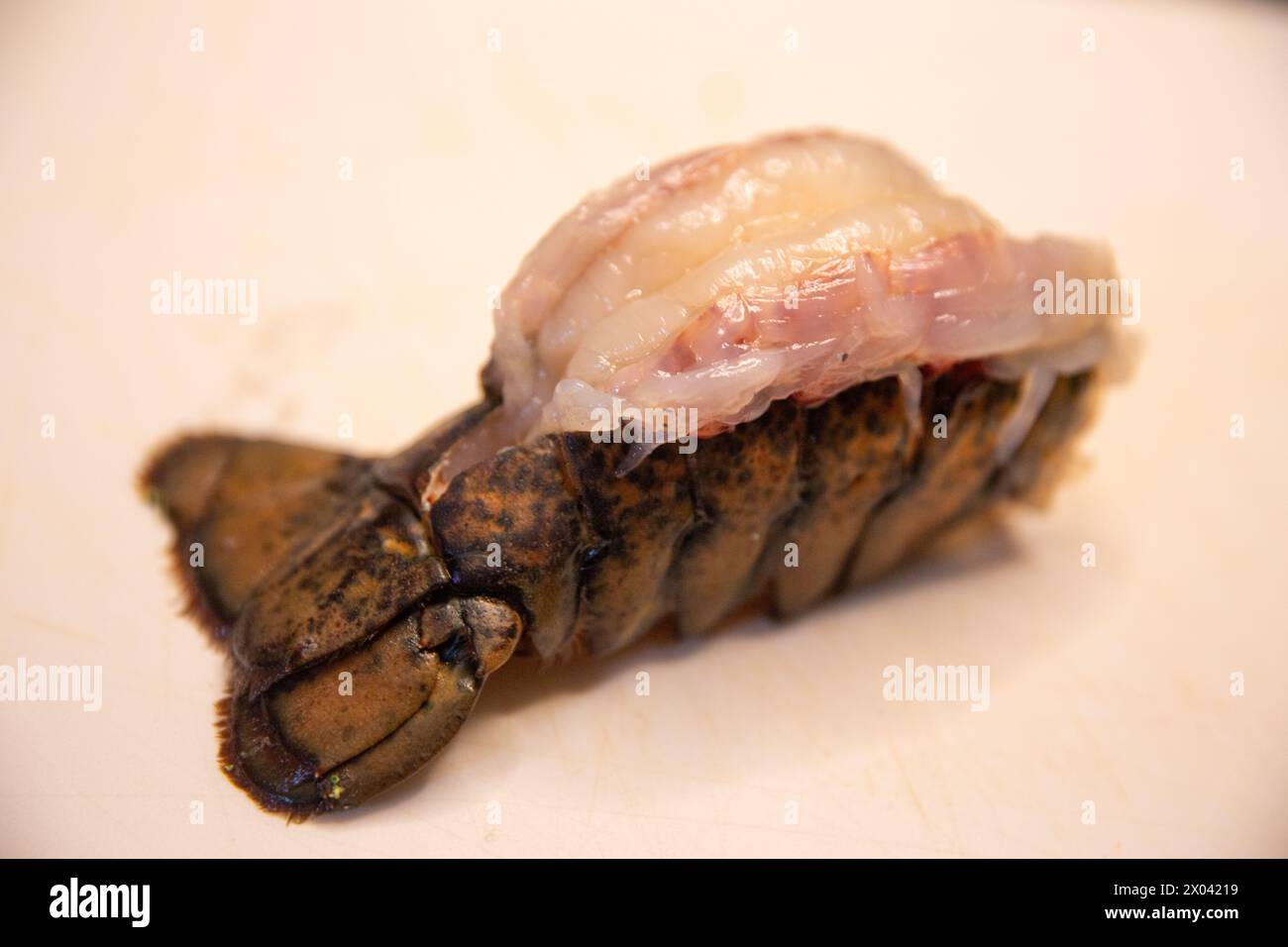 Isolated Raw Lobster Tail to be cooked Stock Photo - Alamy
