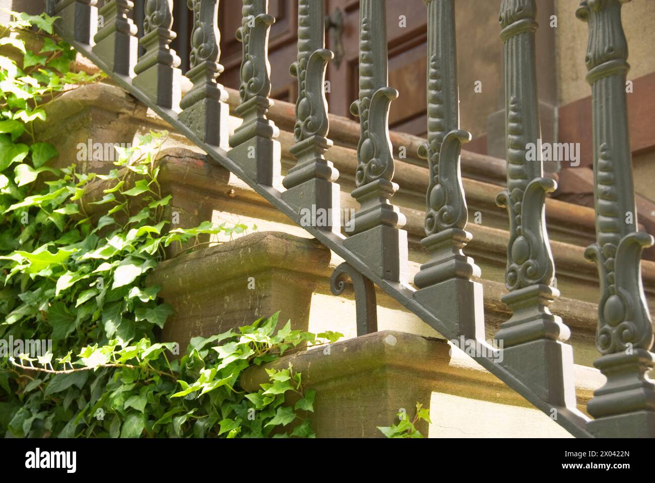 ivy growing on steps with ornate railing, Savannah, Georgia Stock Photo ...