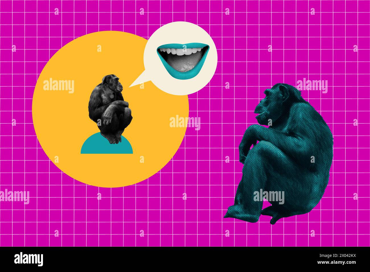 Composite photo collage of funny monkey chimp sit text box bubble ...