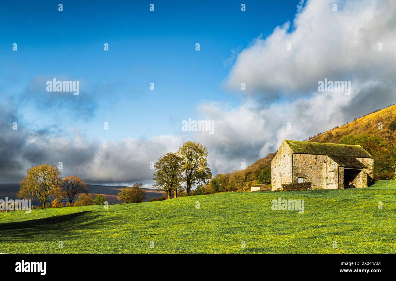 Traditional stone barn in Wharfedale, Yorkshire Dales, England Stock ...