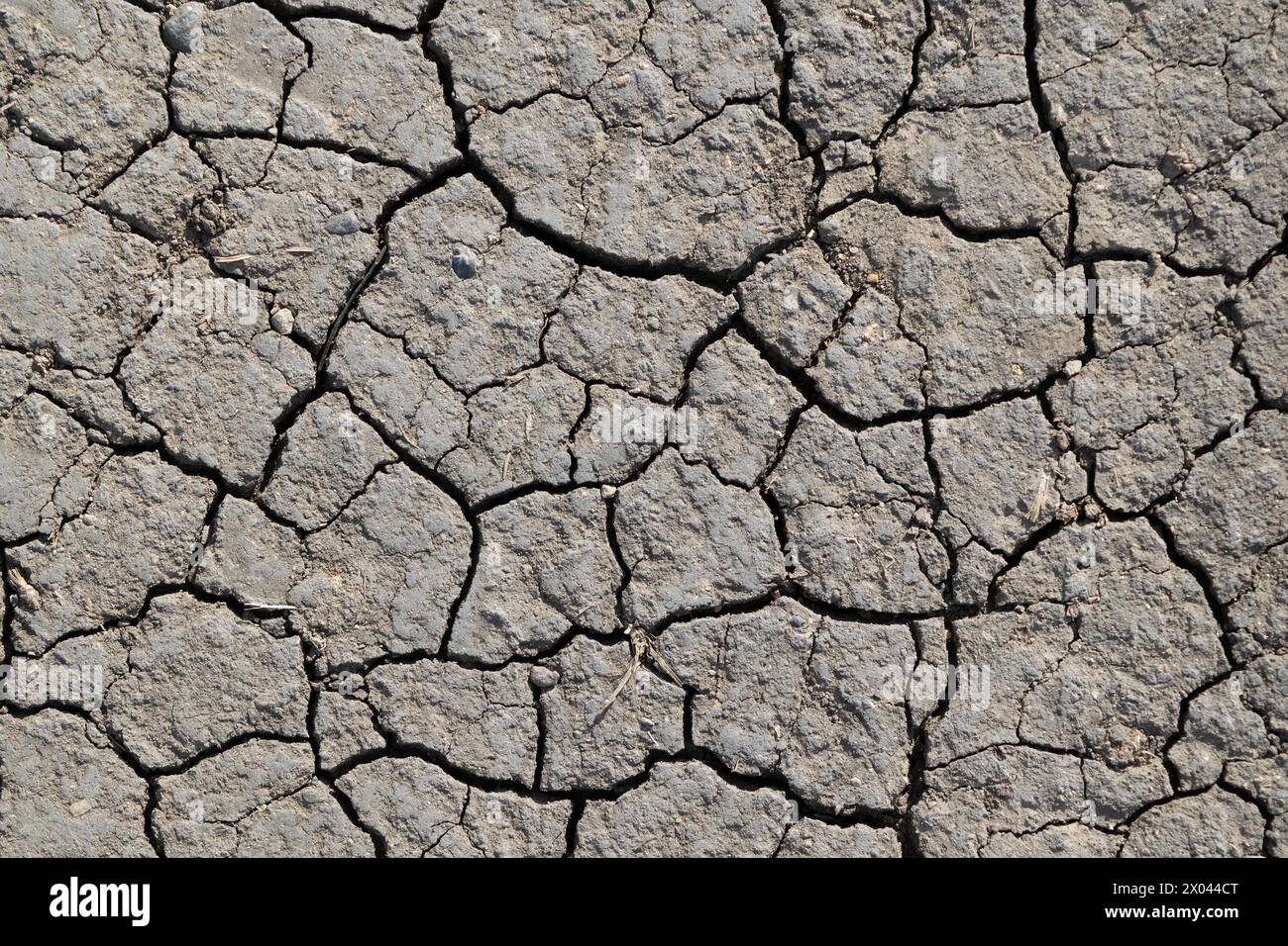 Dry cracked ground. Cracks. Backgrounds and textures. Water scarcity ...