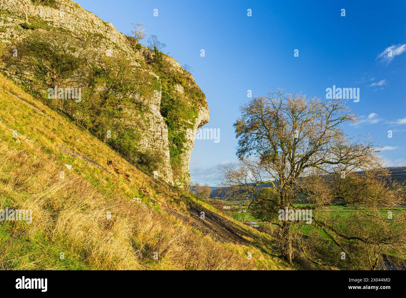 Kilnsey crag hi-res stock photography and images - Alamy