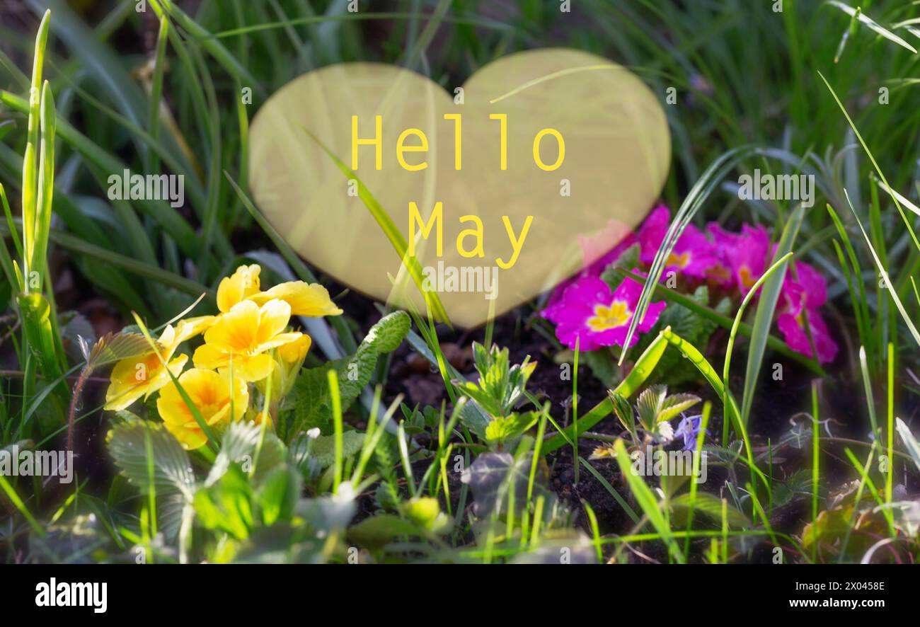 Welcome april text flowers hi-res stock photography and images - Alamy
