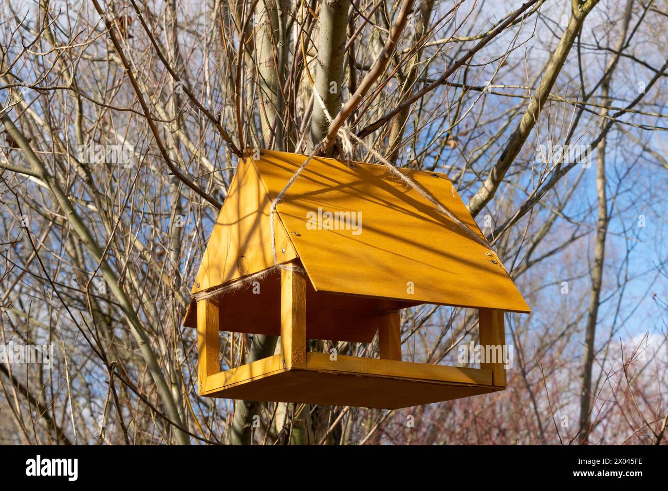 Wooden feeder on a tree. Feeding wild birds. Nature. Clear day Stock ...
