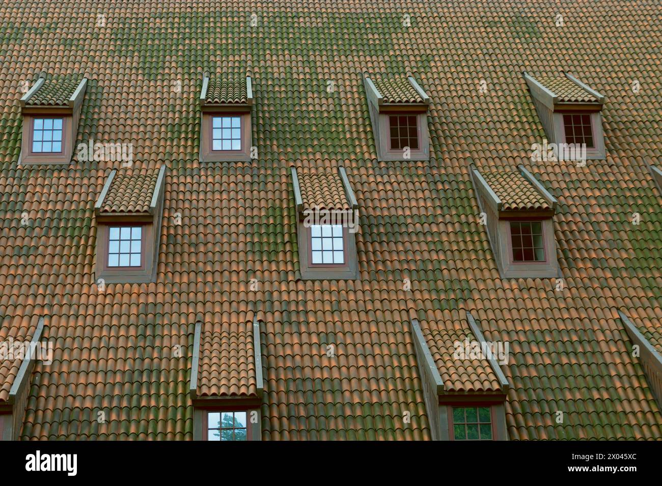 The Great Mill in Gdansk, Poland. Beautiful unusual roof with small ...