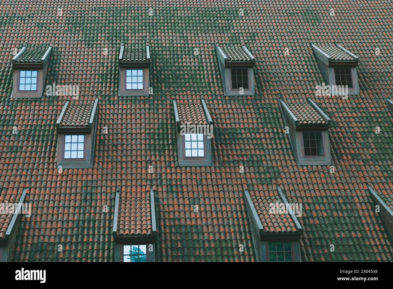 The Great Mill in Gdansk, Poland. Beautiful unusual roof with small ...