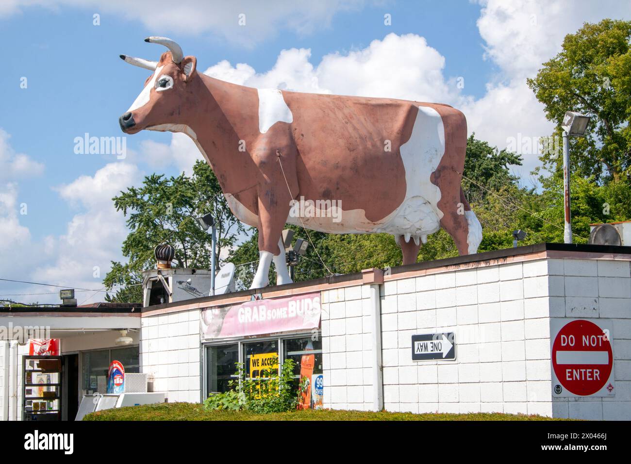 Roadside landmark cow hi-res stock photography and images - Alamy