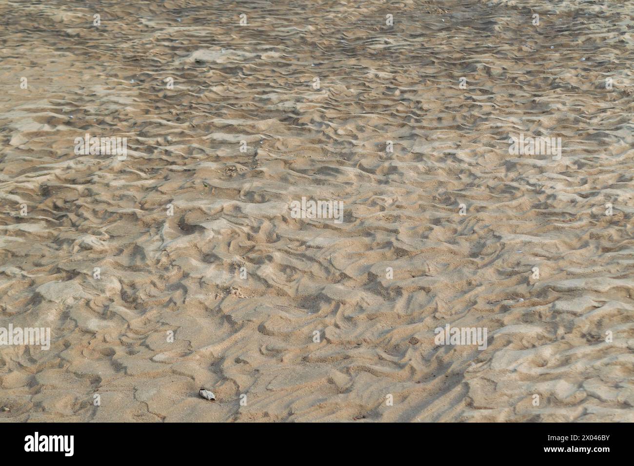 Sandy bottom of a dry river. Patterns in the sand. Sand background ...
