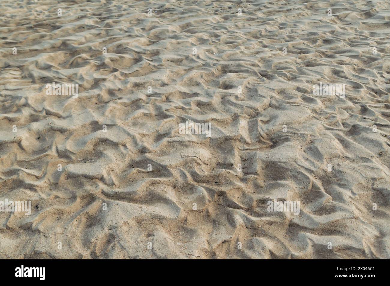 Sandy bottom of a dry river. Patterns in the sand. Sand background ...