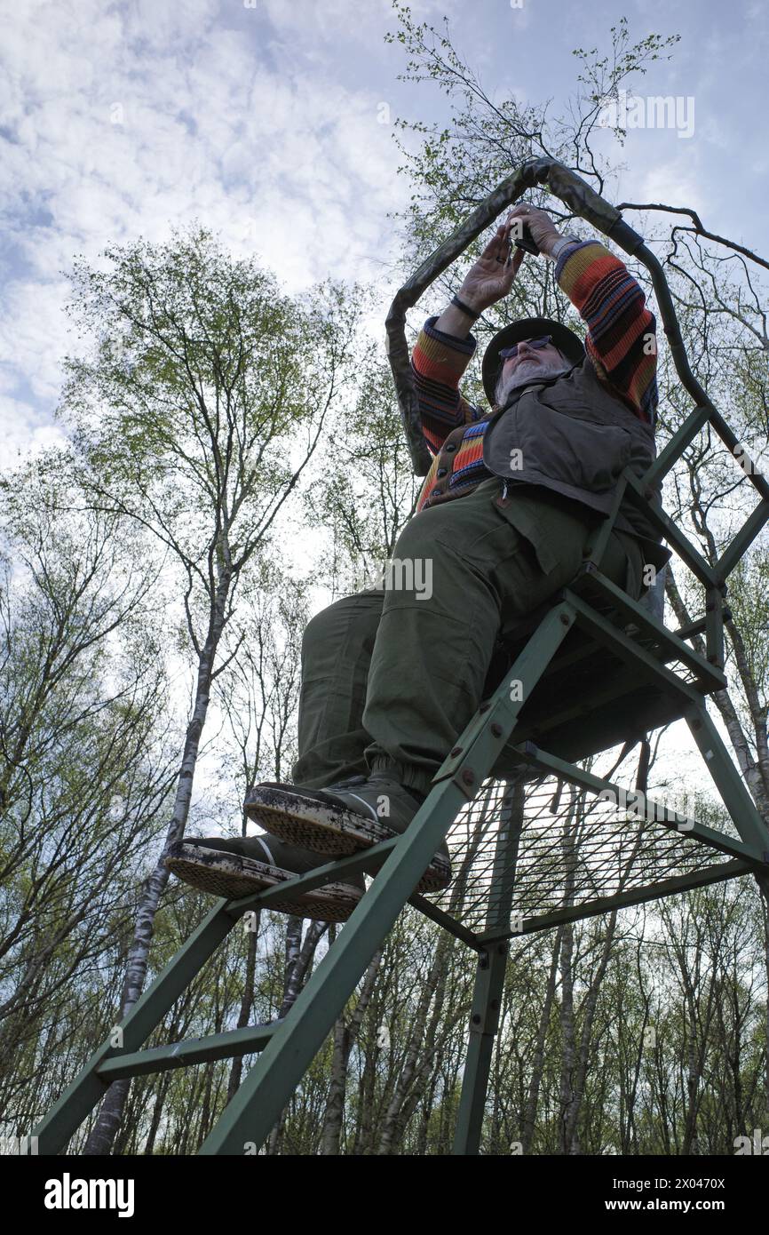 A stout man sits into a hunter's high stand in a beautiful bog area and ...