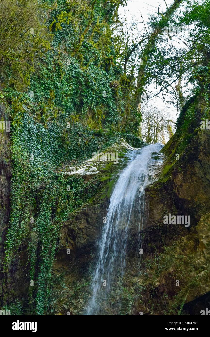 Waterfall in a gorge among the rocks. Beautiful natural landscape Stock ...