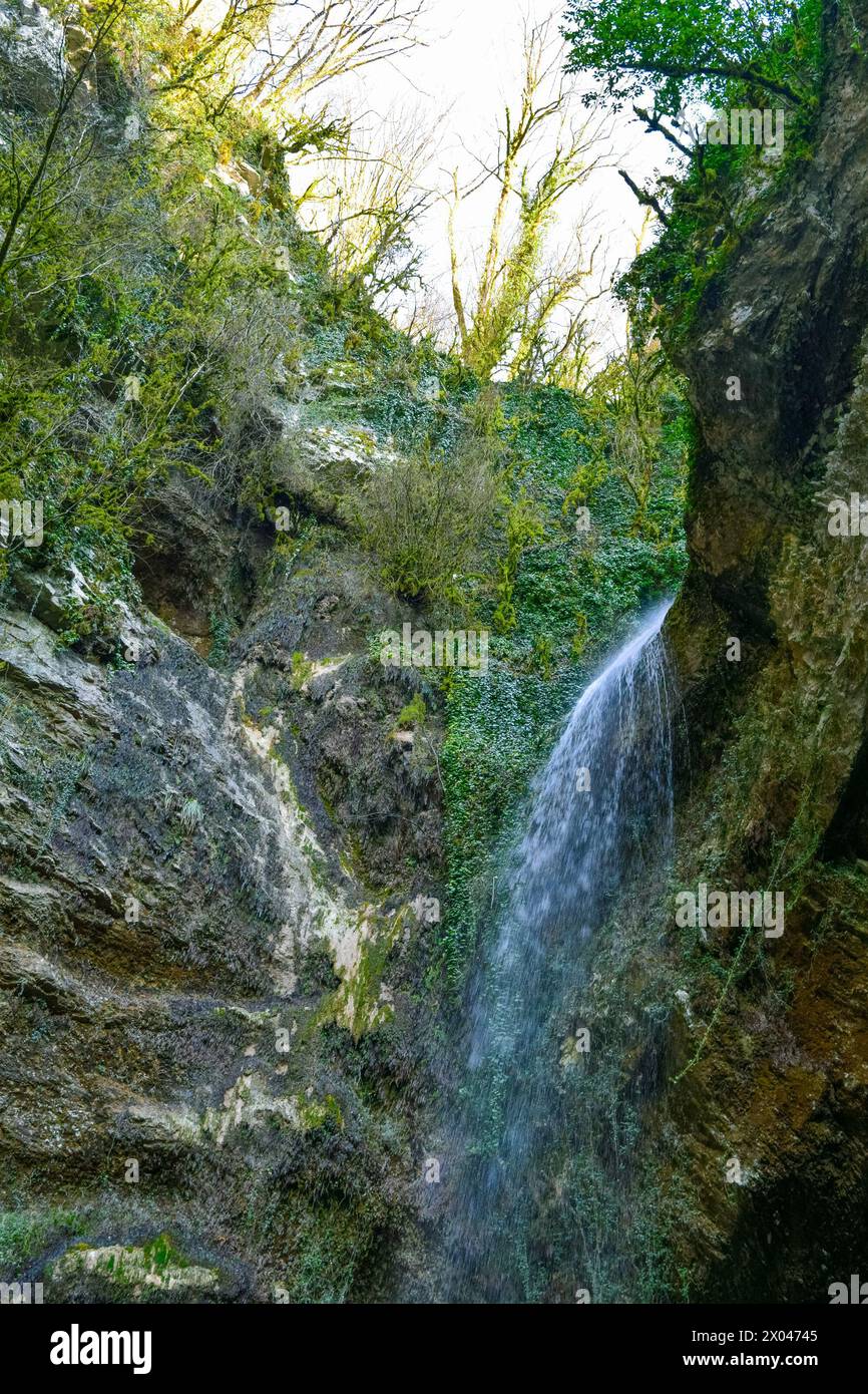 Waterfall in a gorge among the rocks. Beautiful natural landscape Stock ...