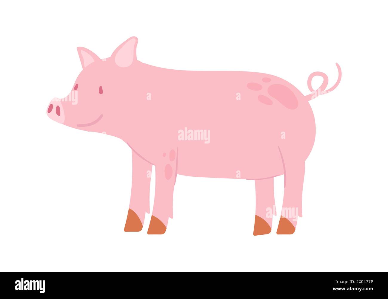 Farm pig animal. Farming activity, ranch animal growing flat vector ...