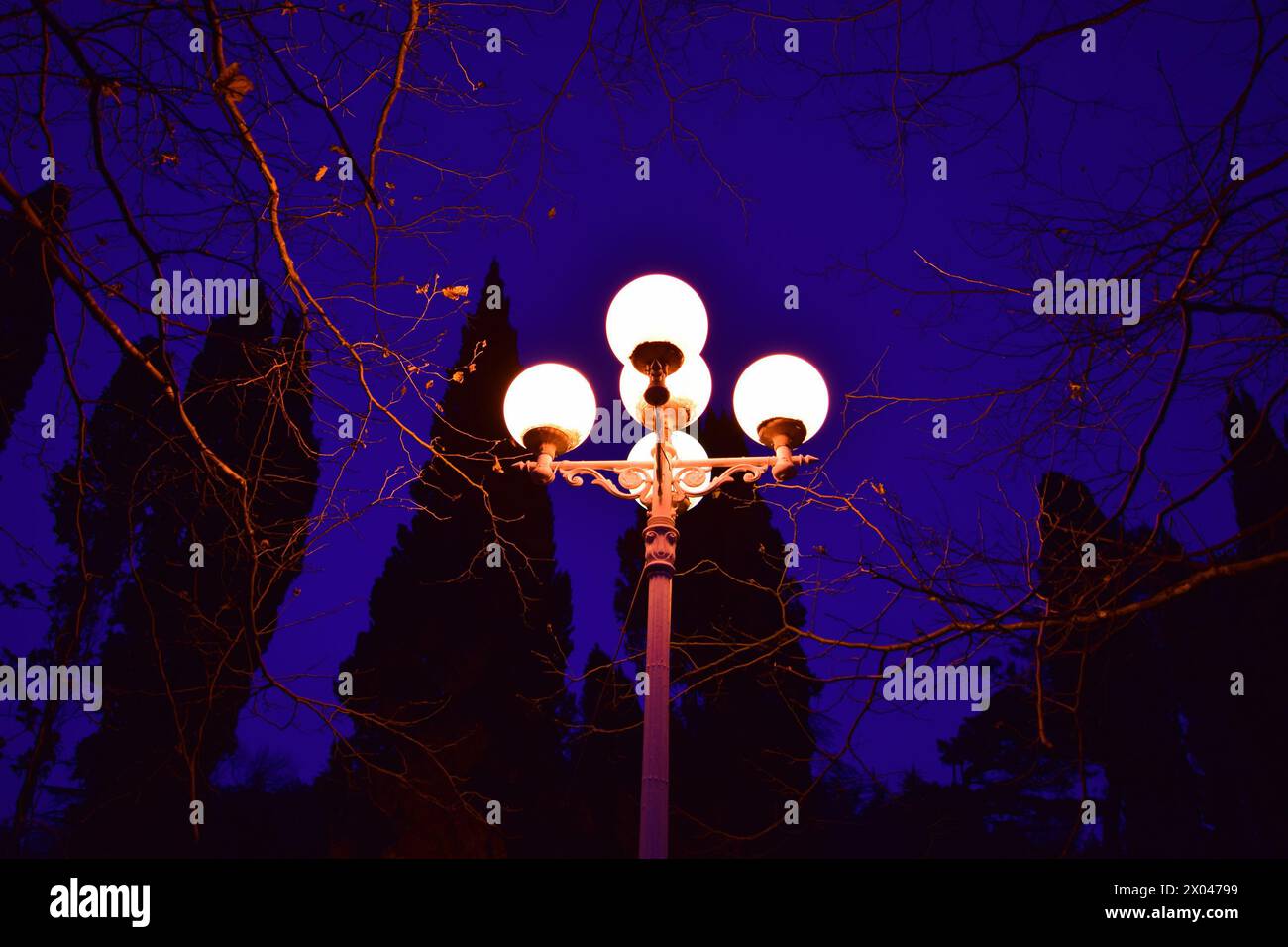 A beautiful street lamp shines in the dark. Evening twilight Stock ...