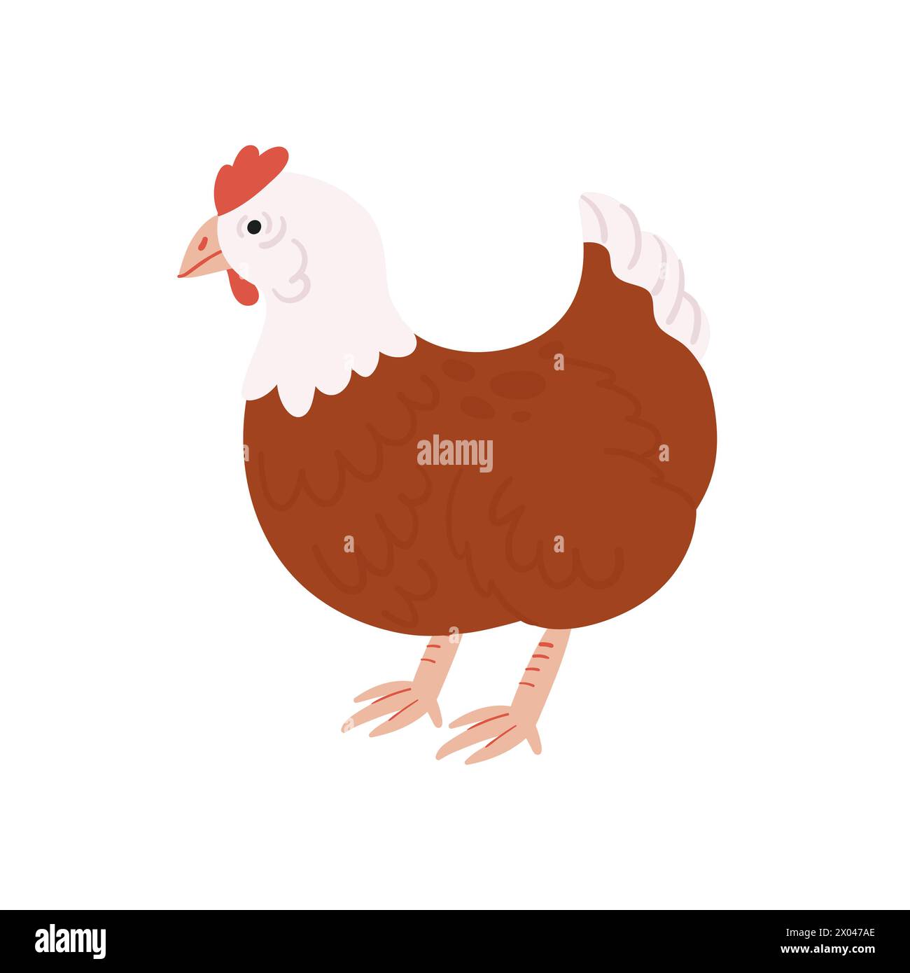 Chicken farm bird. Poultry farming, chicken eggs and meat products flat ...