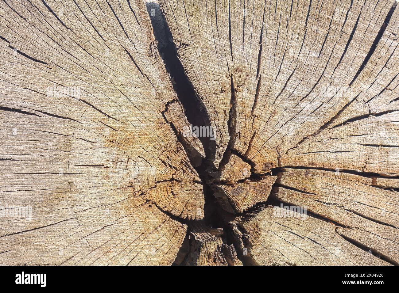 Rough cut wood plank hi-res stock photography and images - Alamy