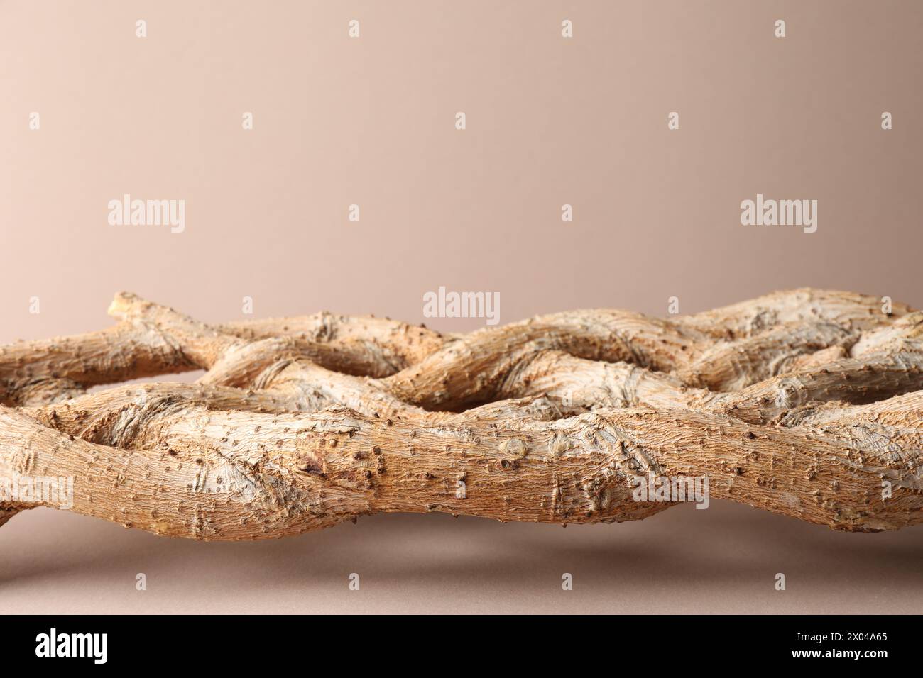 Braided trunk hi-res stock photography and images - Alamy