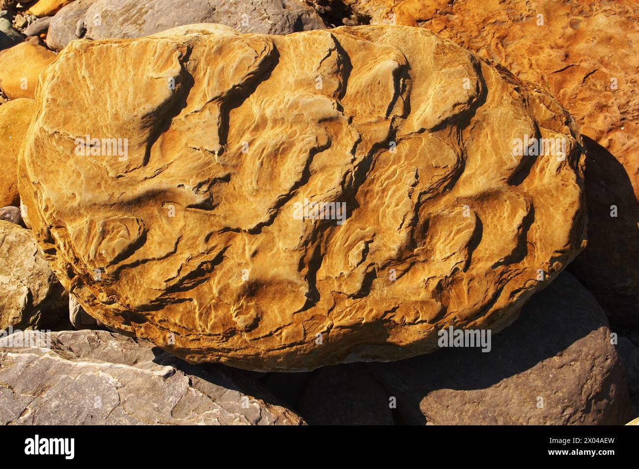 A large colourful rock on a beach showing tidal wear and tear in a wave ...