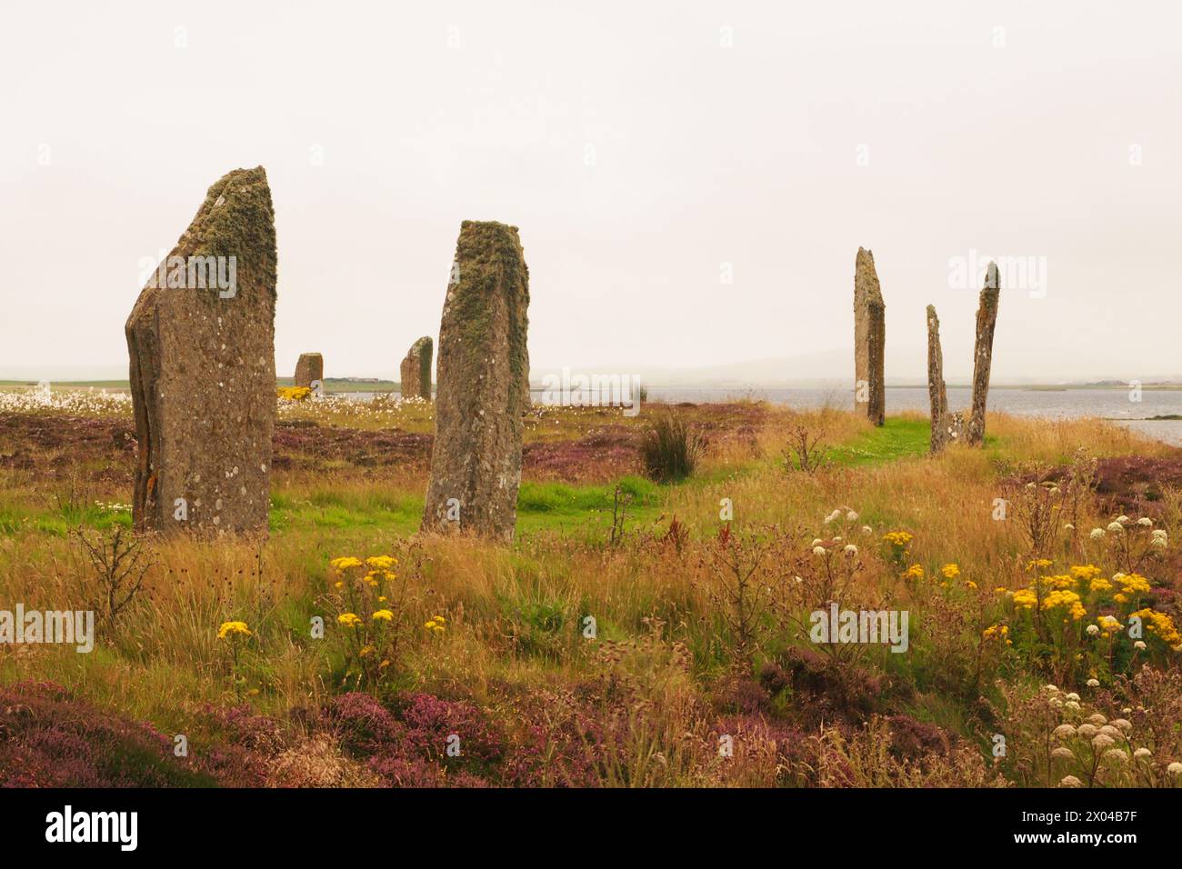 The Ring of Brodgar standing stones on Mainland Orkney, Scotland UK ...