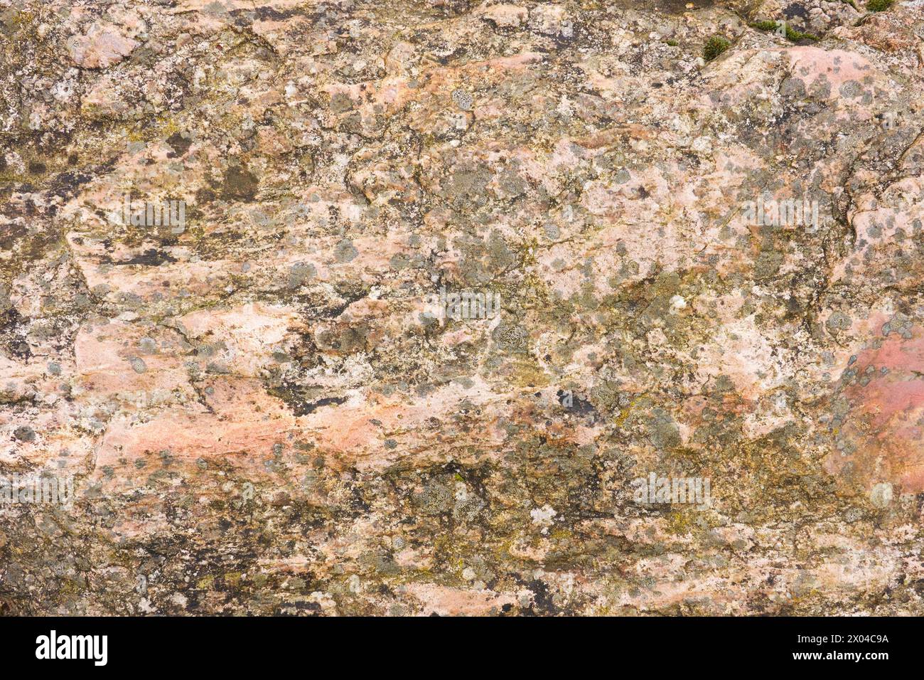 Deformed Pegmatite, red, brown and orange, some grey lichens on it ...