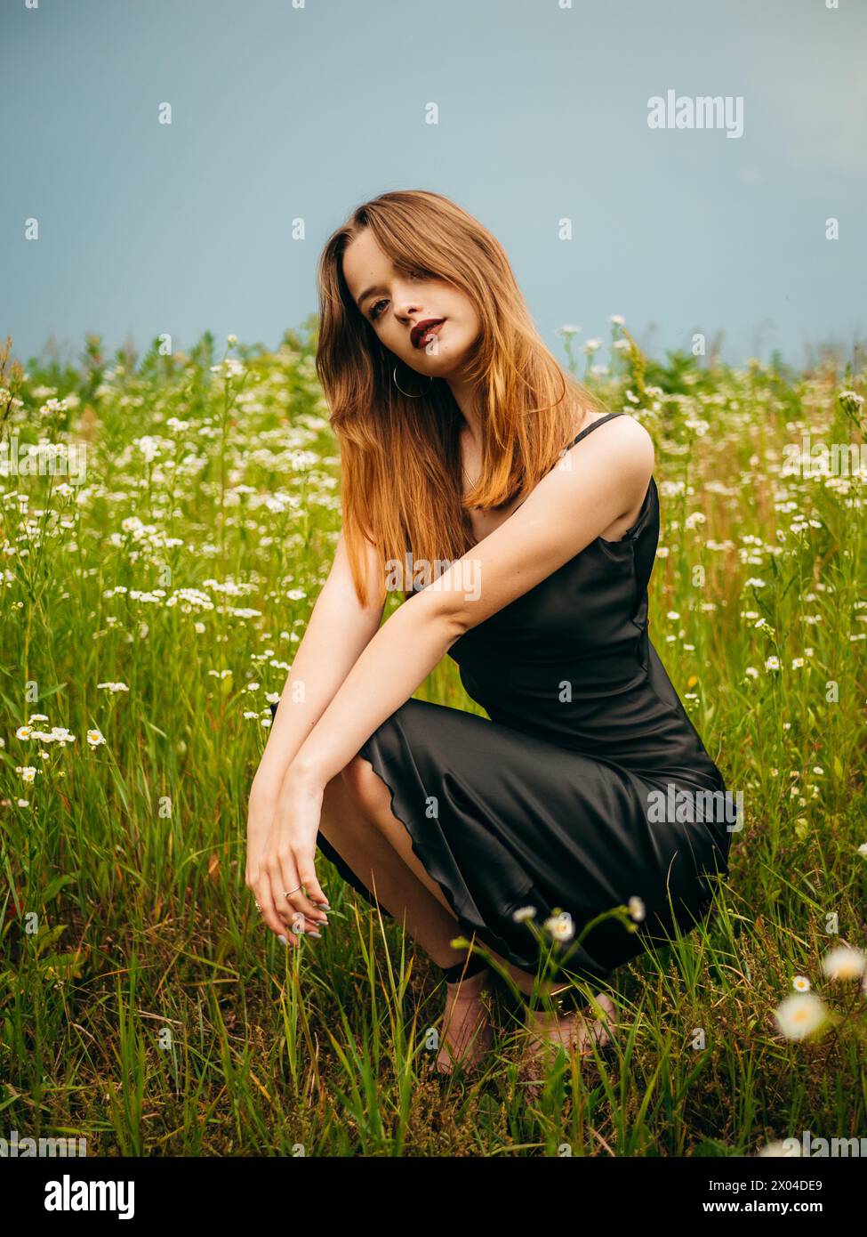 Beautiful young girl in a black evening dress poses crouching in front ...