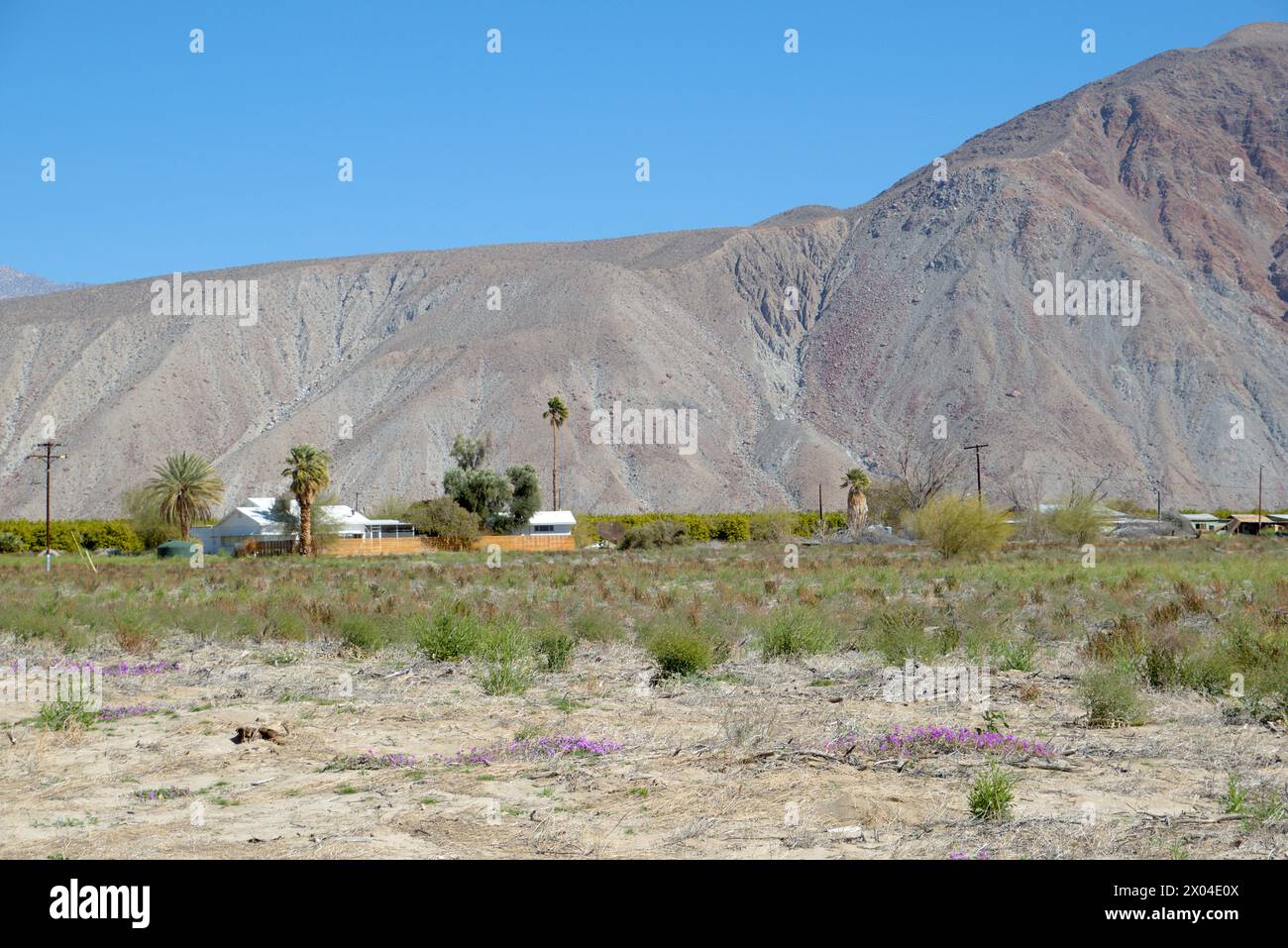 High desert southern california hi-res stock photography and images - Alamy