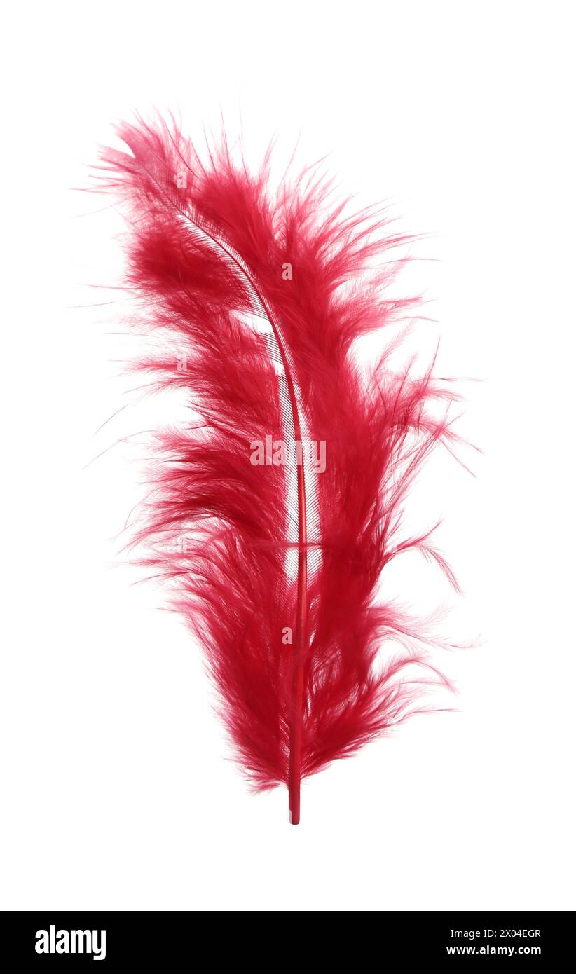 Fluffy beautiful red feather isolated on white Stock Photo - Alamy