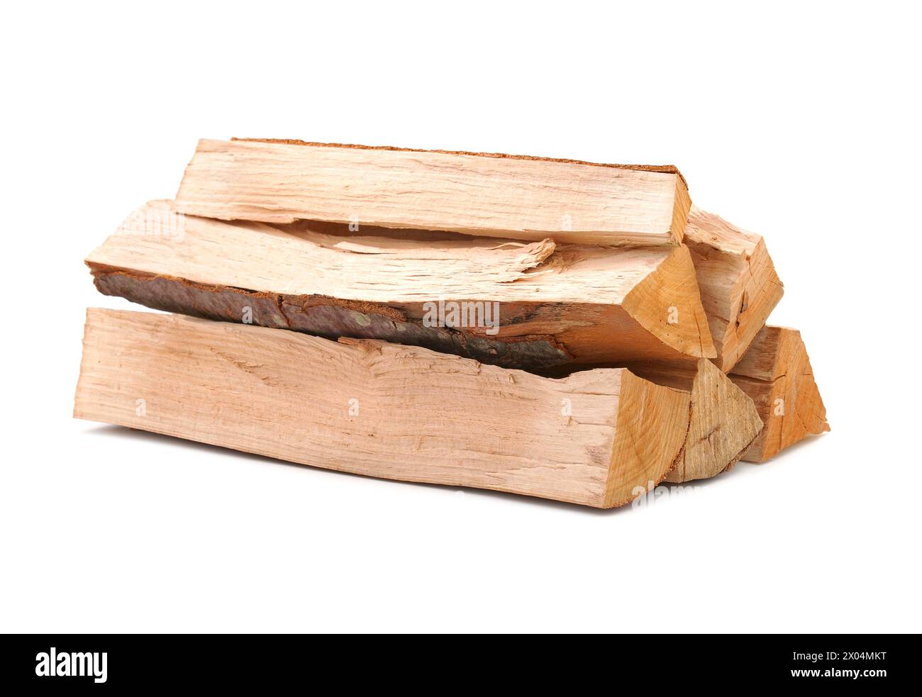 Beech tree bark Cut Out Stock Images & Pictures - Alamy