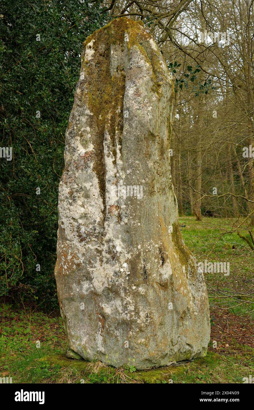 Wallington Hall Standing Stone, Northumberland, England Stock Photo - Alamy