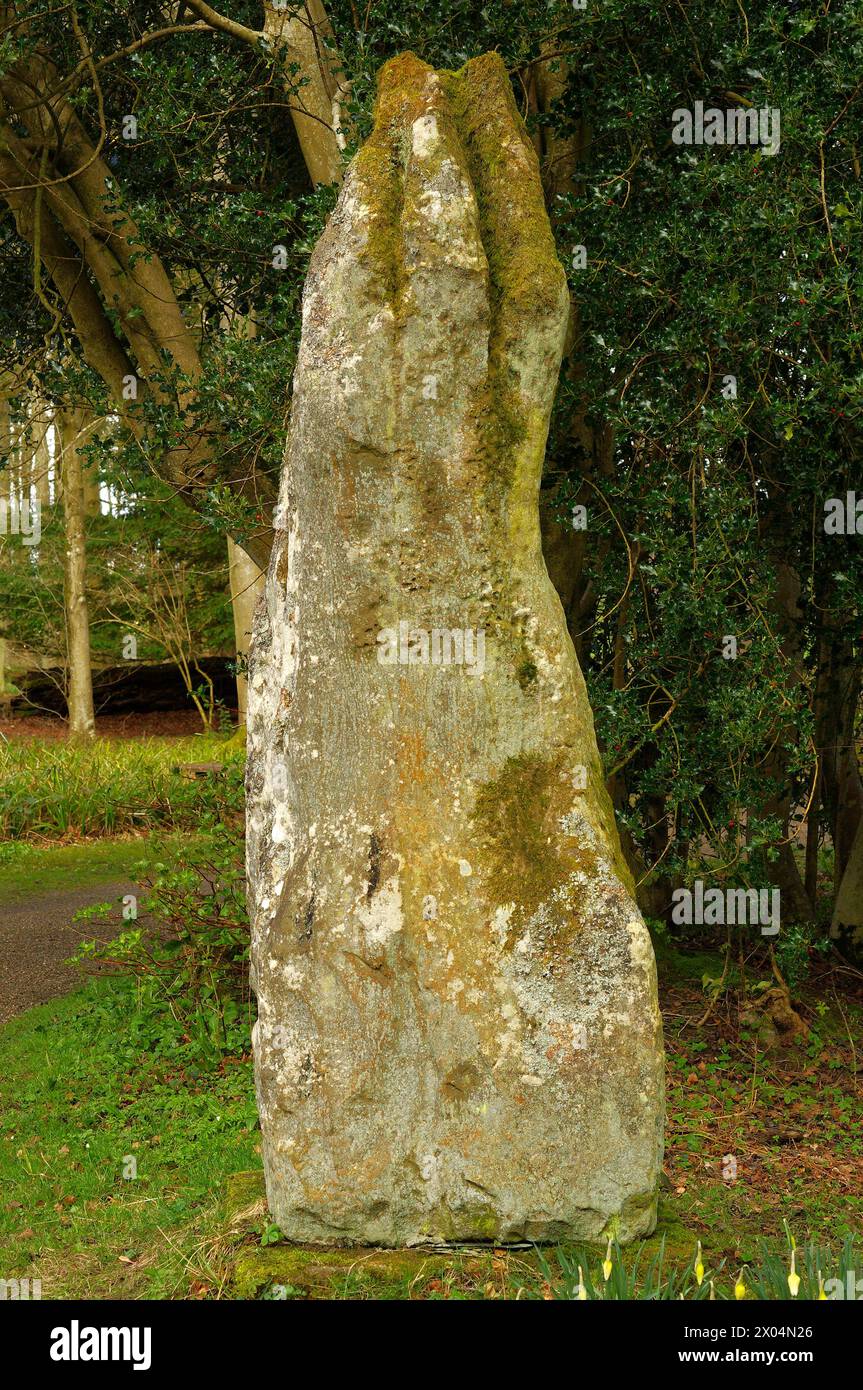 Wallington Hall Standing Stone, Northumberland, England Stock Photo - Alamy