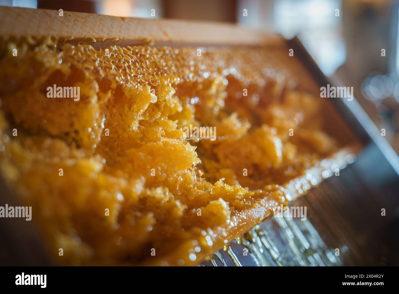 Close up view of honeycomb with golden honey ready to harvest, warm ...