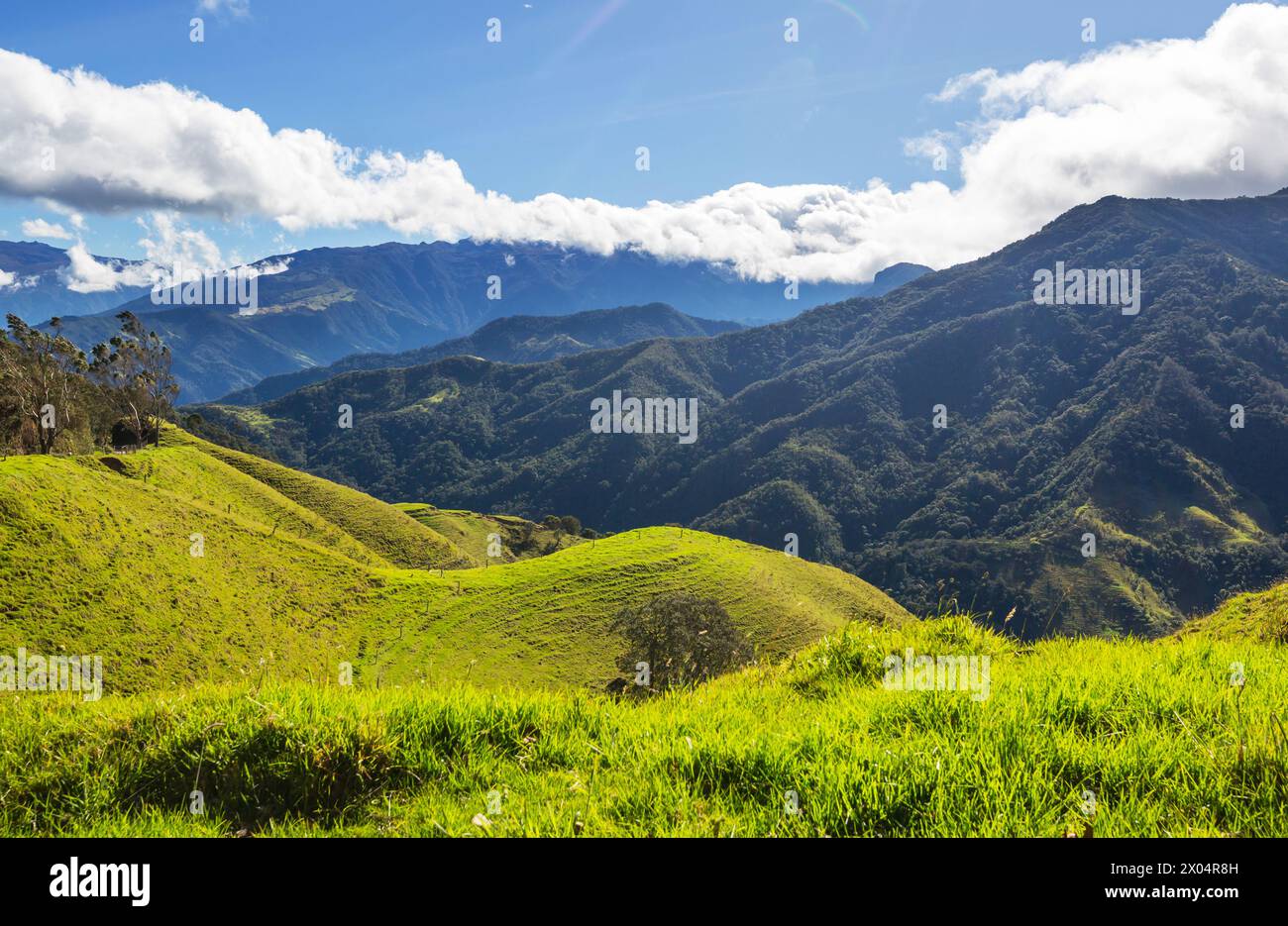 Colombian forest landscapes hi-res stock photography and images - Alamy