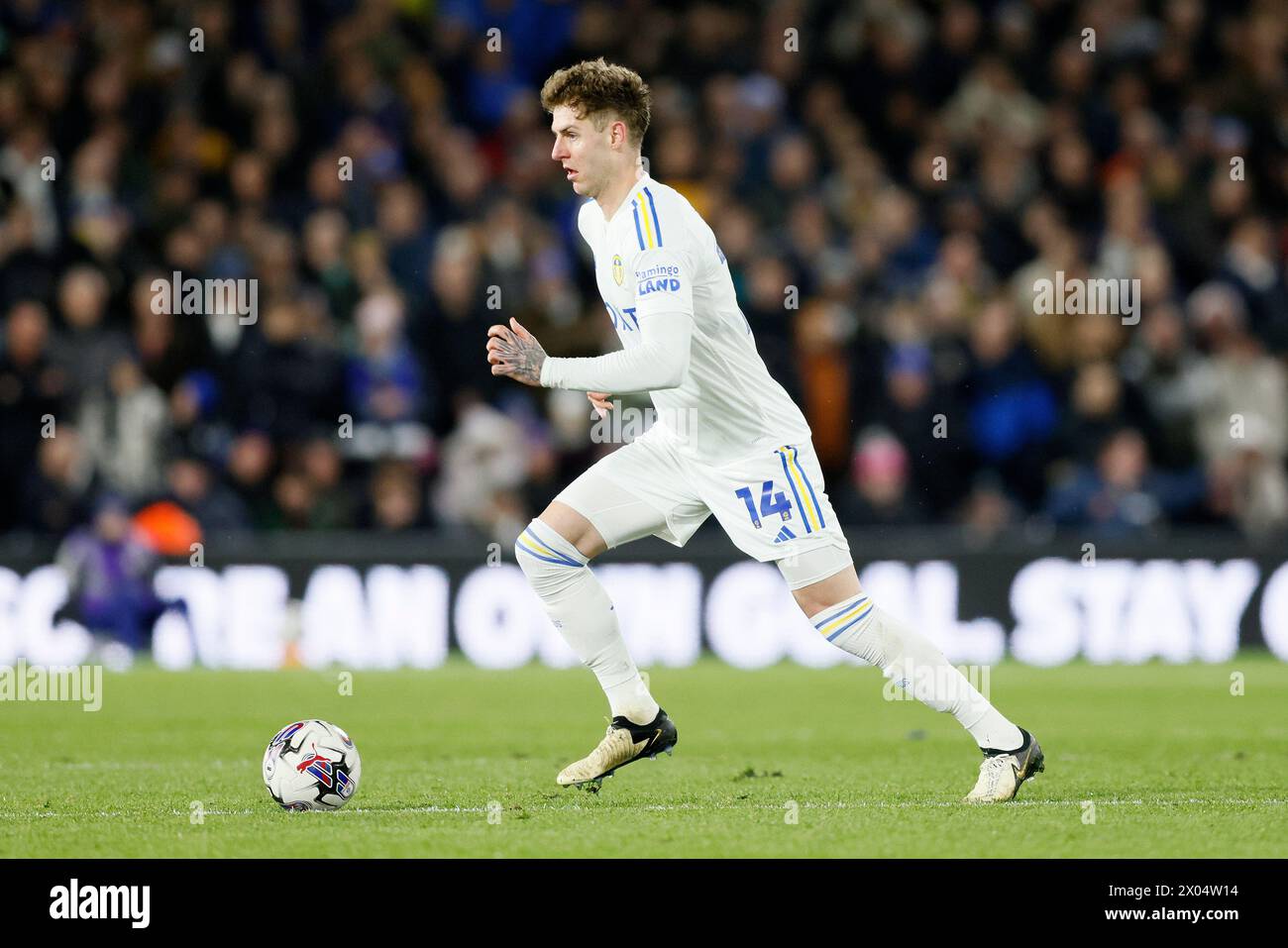 Joe rodon leeds united 2024 hi-res stock photography and images - Alamy