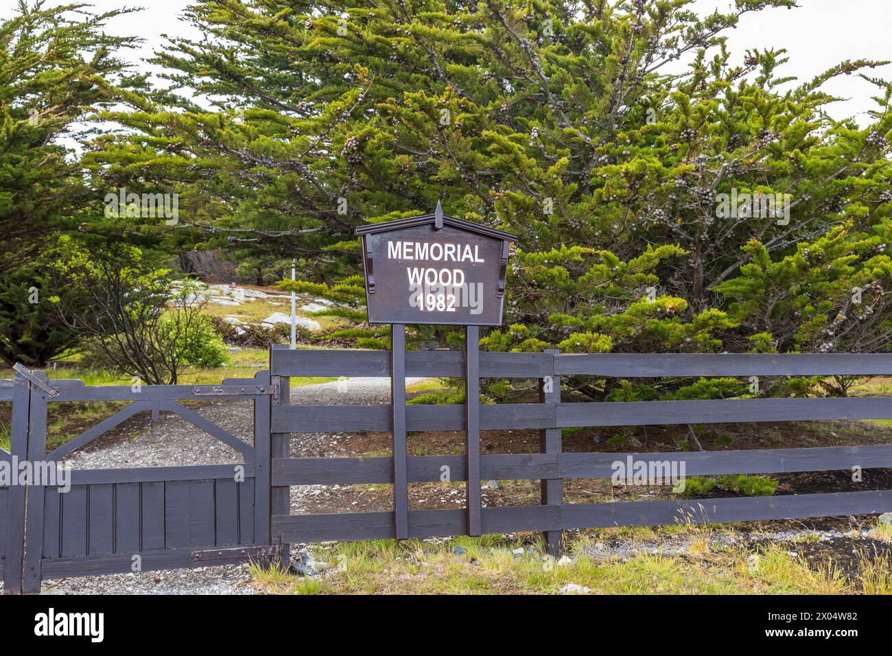 Remembrance Trees in Memorial Wood, 1982, Stanley, Falkland Islands ...