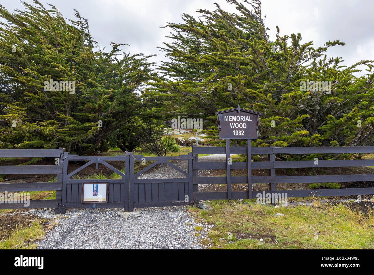 Remembrance Trees in Memorial Wood, 1982, Stanley, Falkland Islands ...