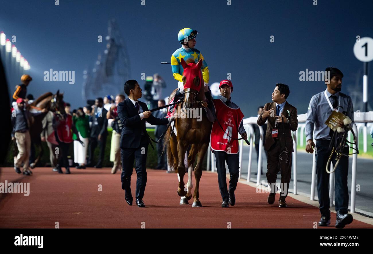 Derma hi-res stock photography and images - Alamy