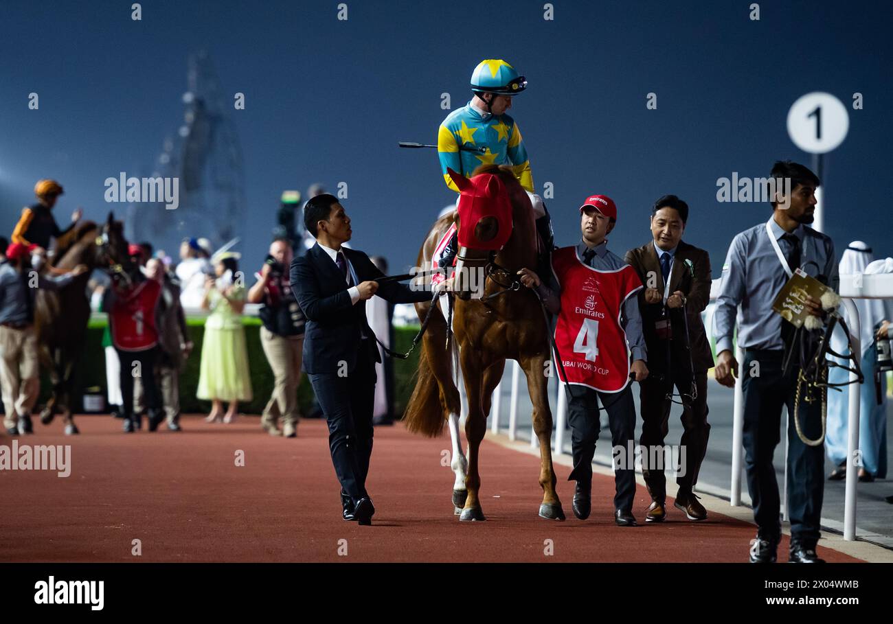 Derma Sotogake and Oisin Murphy head to the start for the 2024 G1 Dubai ...