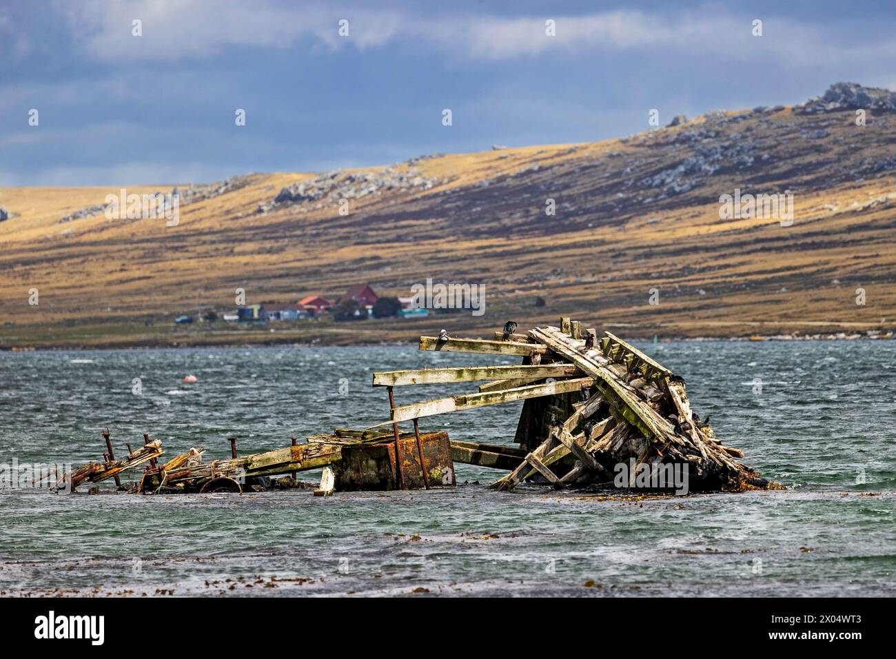 Jhelum Shipwreck, Stanley, Falkland Islands, Saturday, December 02 ...