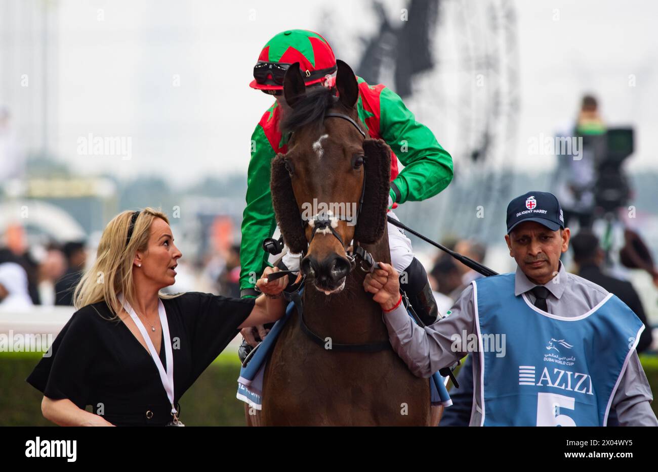 Diligent harry horse hi-res stock photography and images - Alamy