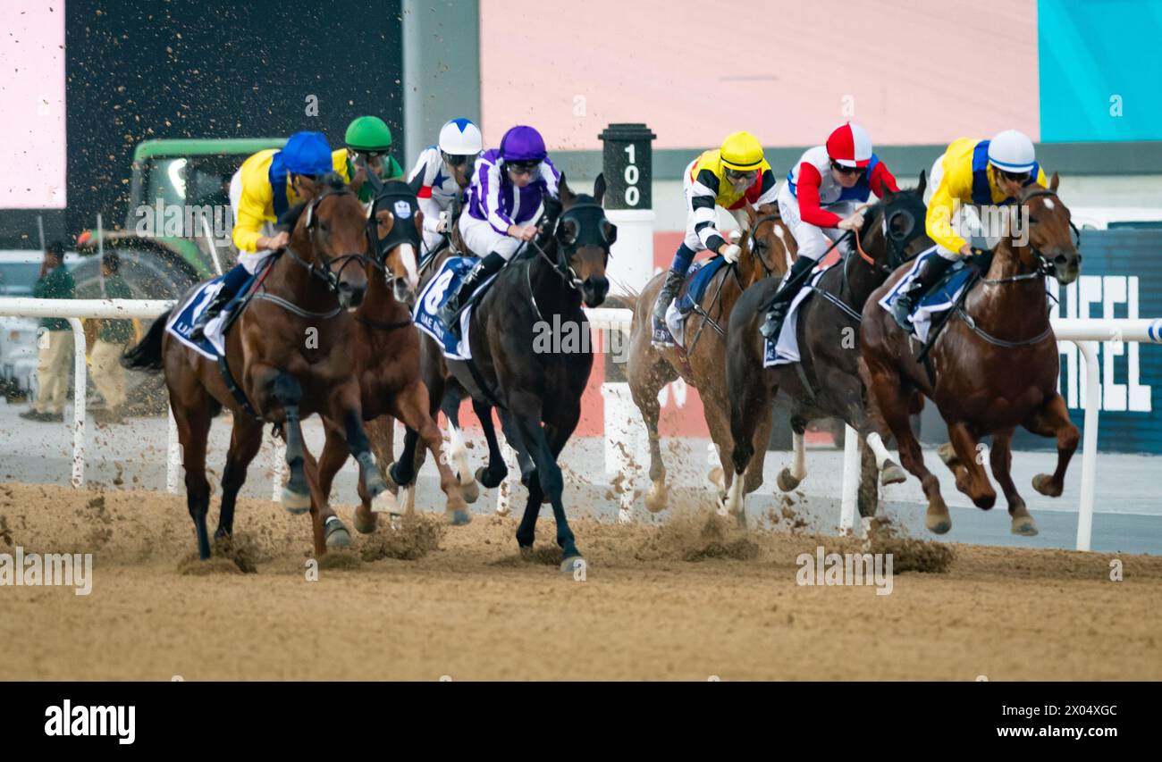 The field for the 2024 Group 2 UAE Derby begin the race at Meydan ...