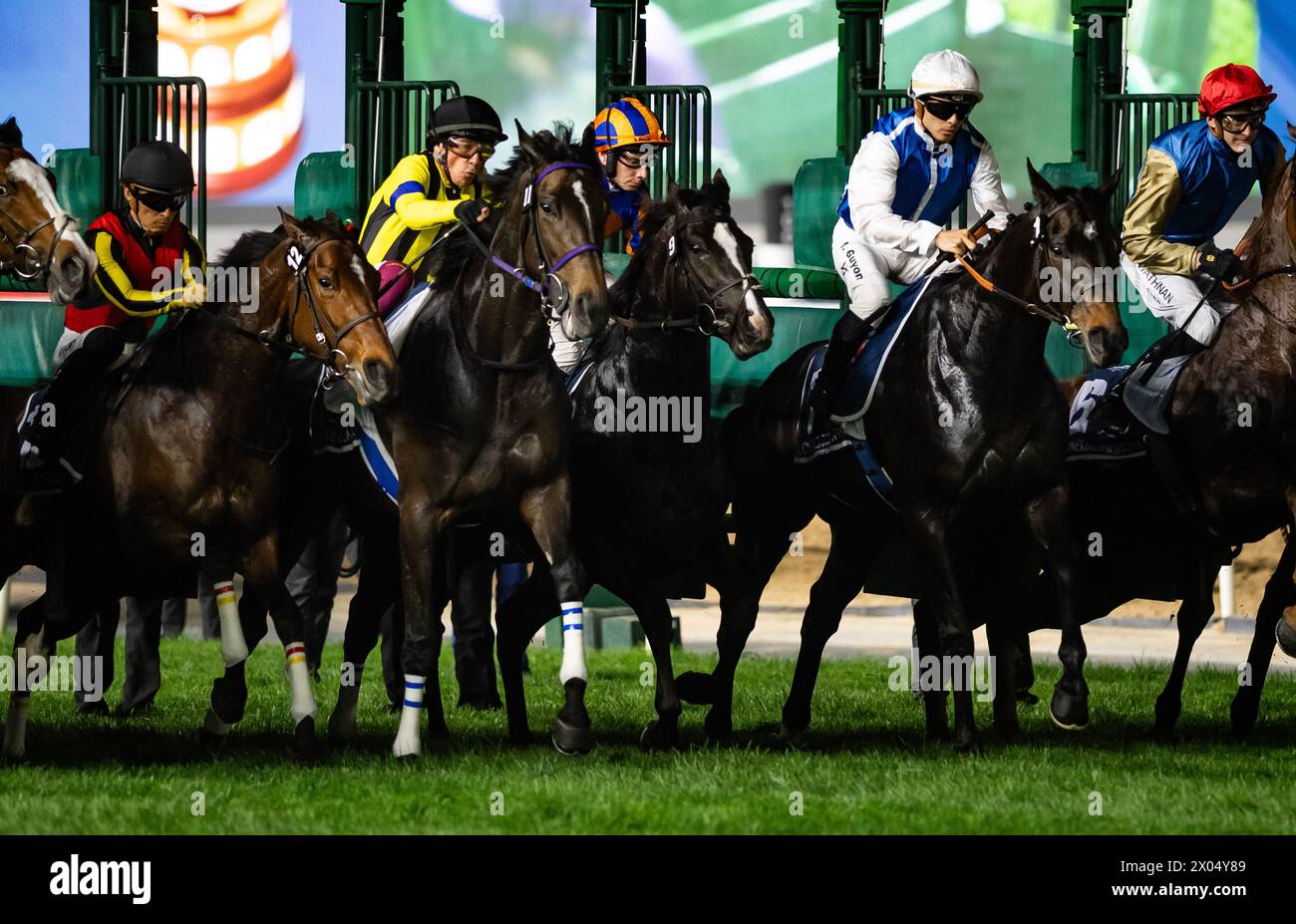 The field for the 2024 Group 1 Longines Dubai Sheema Classic breaks ...