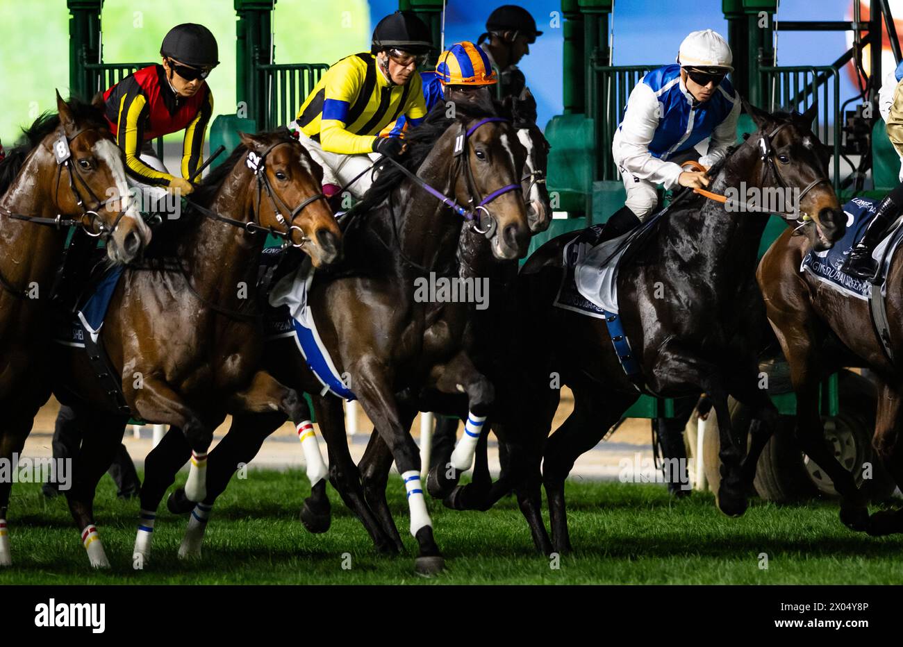 The field for the 2024 Group 1 Longines Dubai Sheema Classic breaks ...