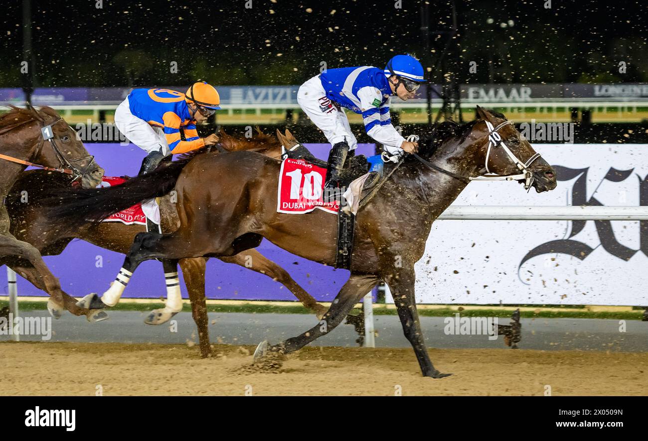 American thoroughbred races in hi-res stock photography and images - Alamy