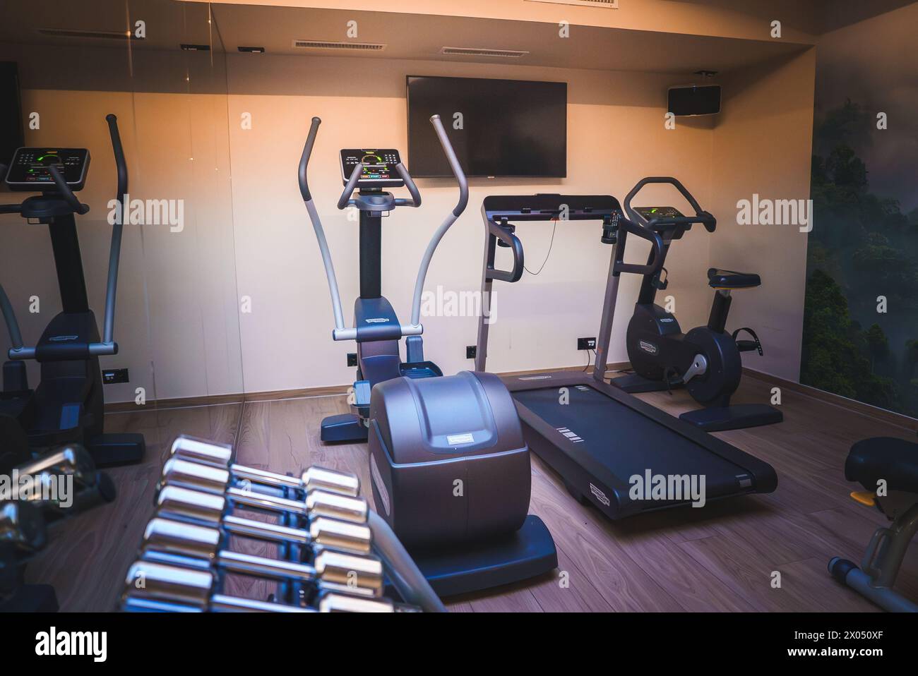 Home Gym with Dumbbells, Cardio Machines, Treadmill and Entertainment ...