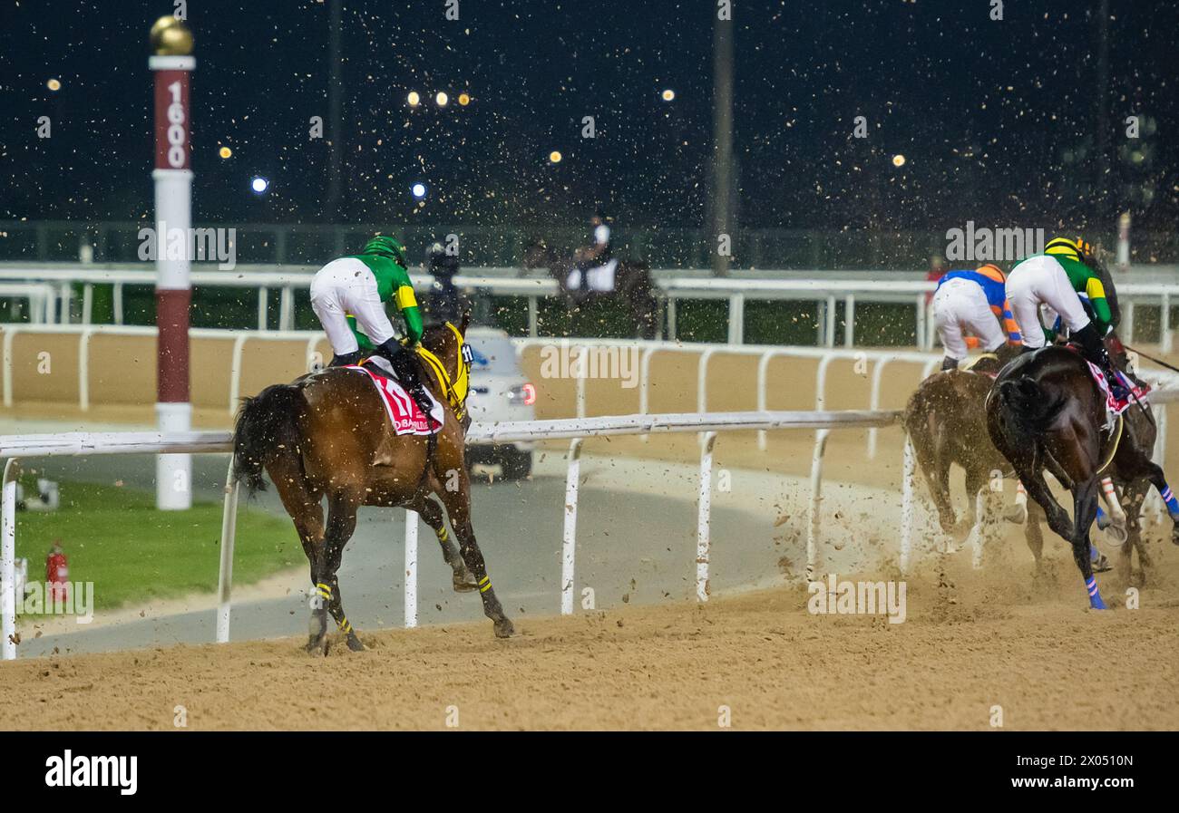 Ushba tesoro horse hi-res stock photography and images - Alamy