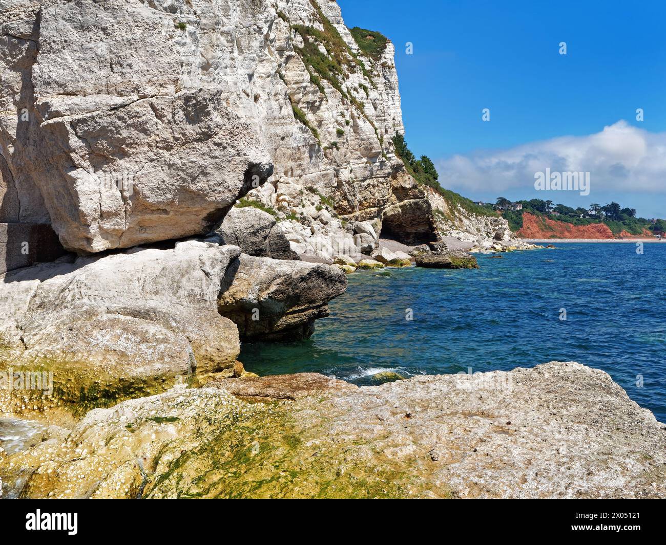UK, Devon, Beer Coastline looking towards Seaton Stock Photo - Alamy