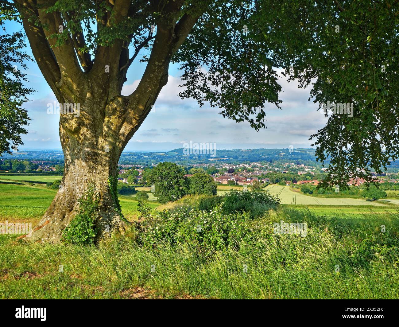 Windwhistle hill hi-res stock photography and images - Alamy